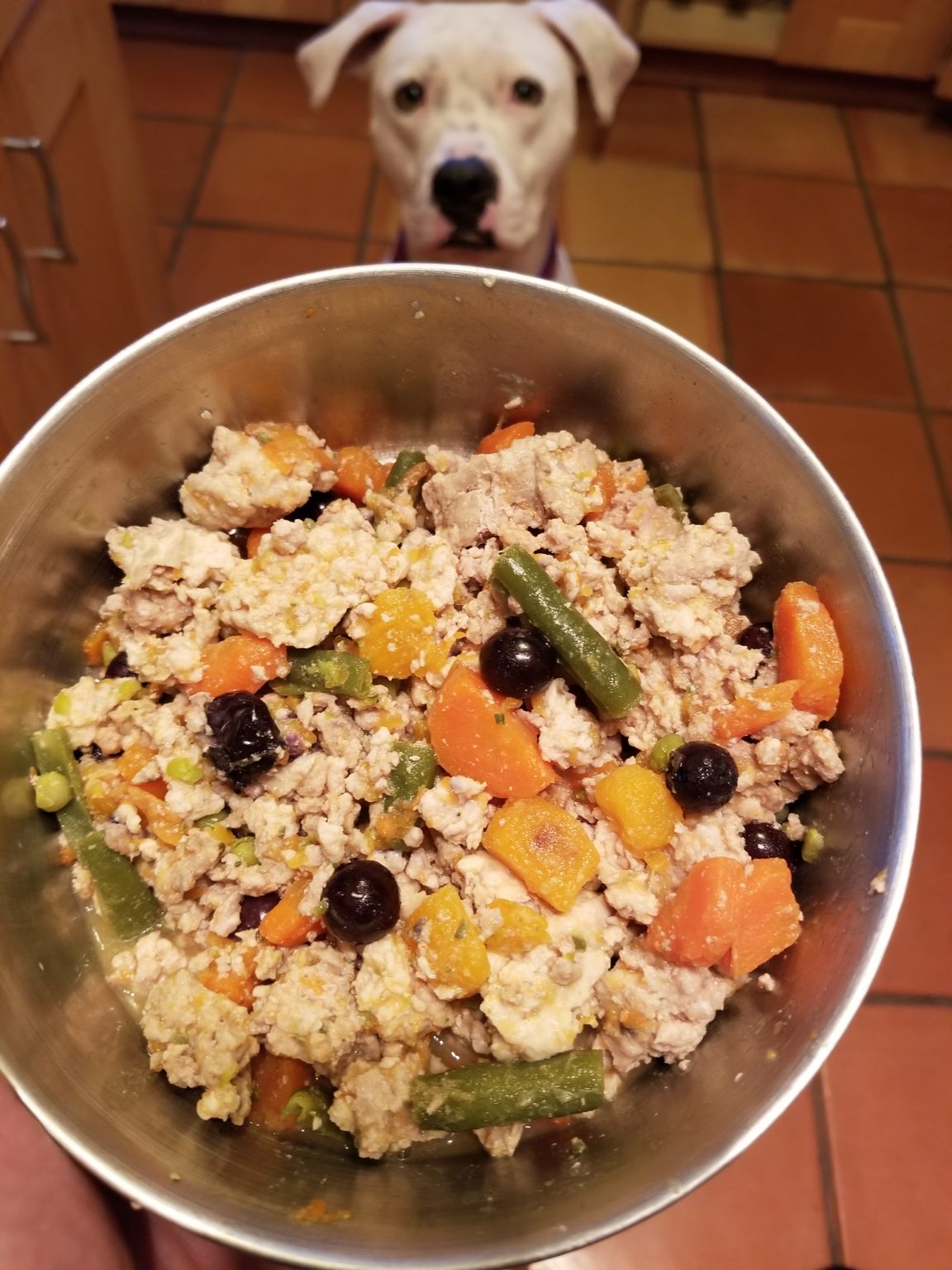 The Joy of Cooking…Dog Food Edition – High Tail Hotel Dog Daycare and ...